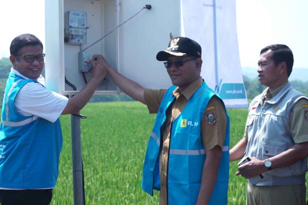 Gunakan Energi Listrik PLN, Pertanian di Desa Nglembu Boyolali ...